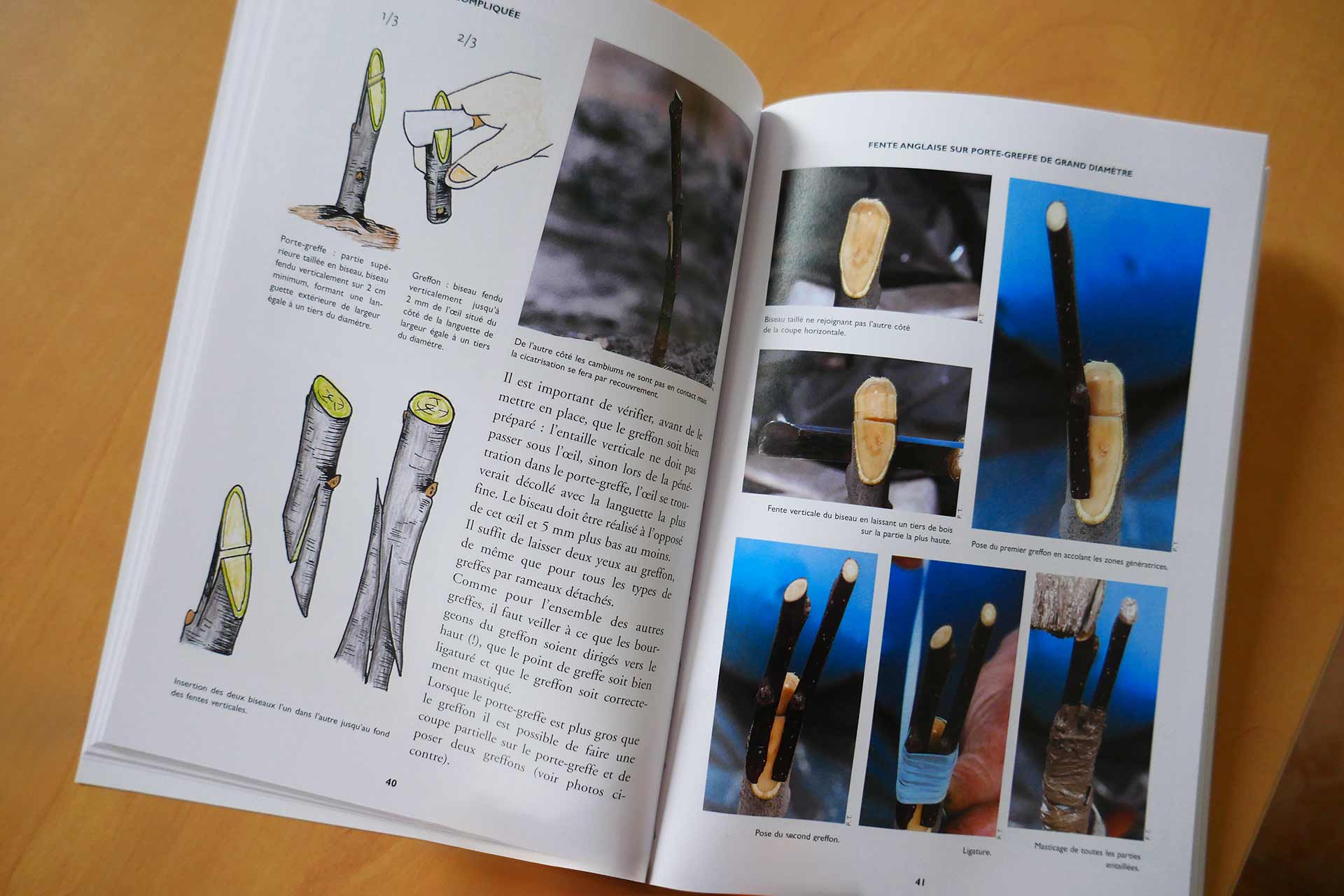 Le greffage et la plantation des arbres fruitiers - Centre National de ...