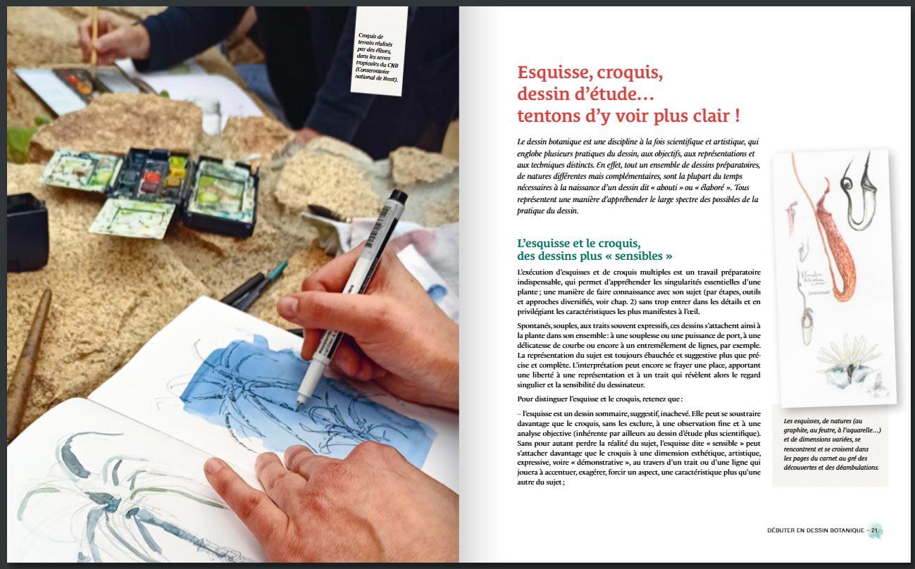 Le dessin botanique de A à Z avec Sophie Graverand - Centre National de ...